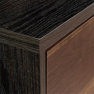 Sauder Canton Lane Engineered Wood/Metal Lateral File in Brew Oak