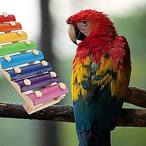 Balacoo 1set Bird Xylophone Toy Parrot Hanging Wood Music Toys Chicken Coop Pecking Toy Parrot Parakeets Molar Tearing Toys for Parrots Parakeets