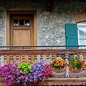 Halatool 4 PCS 14 Inch Round Coco Liners Hanging Basket 100% Natural Replacement Coconut Fiber Liner for Garden Flower Pot Vegetables Herbs