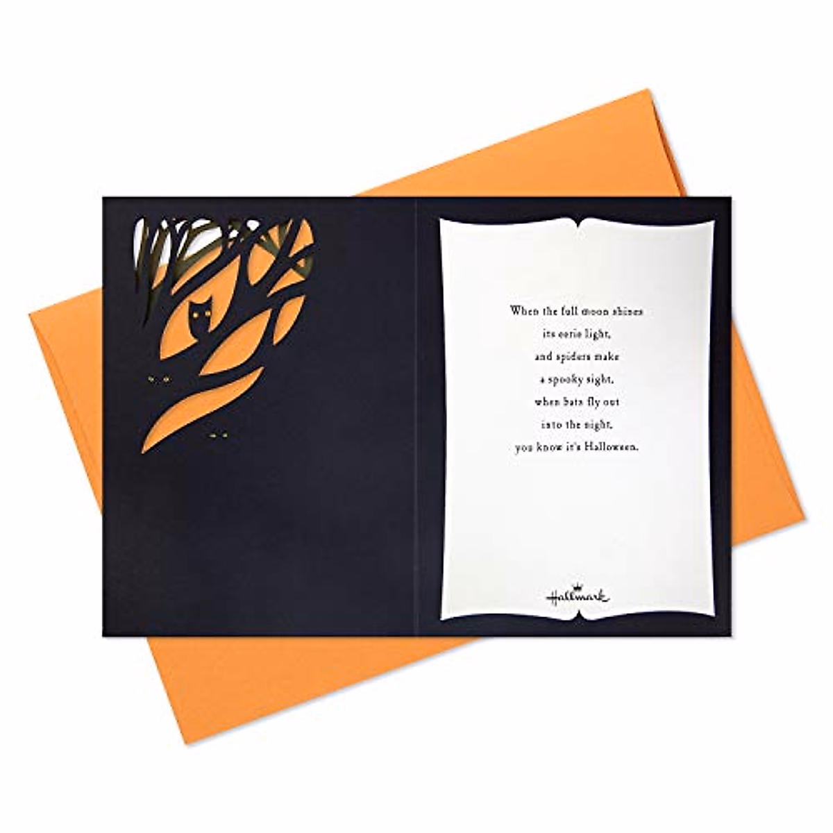 Hallmark Paper Wonder Halloween Pop Up Card (You Know It's Halloween)