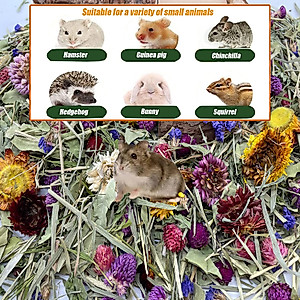 Tfwadmx Hamster Substrate Moss Natural Bedding Habitat Decor for Dwarf Syrian Hamsters Gerbils Mice Degus Bunny or Other Small Animal (Flower & Herb（A）(2PCS))