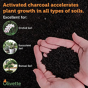 Horticultural Activated Charcoal for Plants by Olivette | Terrarium Horticulture Moisture Absorbers Supplies USDA Organic Certified Made from Recycled Olive Tree Byproducts 1 Qt Bag