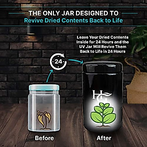 Herb Guard - 2 Oz Smell Proof Jar and Airtight Container (1 Liter) Comes with Humidity Pack to Keep Contents Fresh for Months