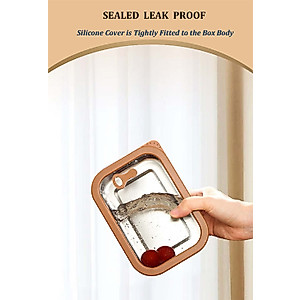 GRFELI Stainless Steel Food Storage Containers, Bento Lunch Box Leak Proof with Silicone Glass Cover,Kitchen Containers - Set of2 (600ml,1200ml), Dishwasher Safe - Plastic Free (Glass)