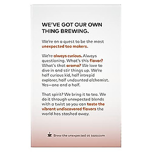 TAZO Pumpkin Spice Chai Black Tea Bags, 20 Count (Pack of 6)