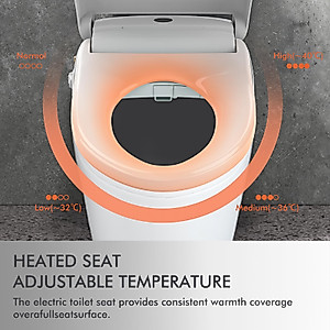 SWISH WEAVERS Smart Bidet Toilet Seat with Wireless Remote and Side Panel, Multiple Spray Modes, Adjustable Heated Seat, Warm Water and Air Dryer, Auto LED Nightlight, White