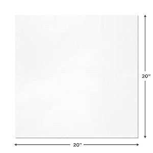 Hallmark White Tissue Paper (100 Sheets) for Birthdays, Easter, Mothers Day, Graduations, Gift Wrap, Crafts, DIY Paper Flowers, Tassel Garland and More