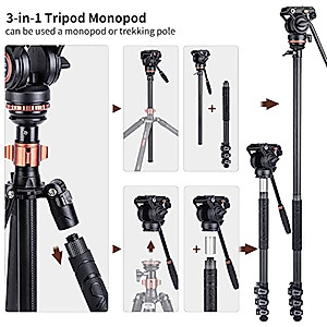 Cayer CF2451 Video Tripod 77 inches Carbon Fiber Tripod Leg with Fluid Drag Head, 4-Section Compact DSLR Tripod Convertible to Monopod for DSLR Camera, Video Camcorder