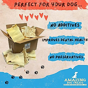 Amazing Dog Treats - Beef Cheek Monster Strips (2 Pcs) - NO Odor - Thick Cut - Rawhide Alternative - Beef Cheek Slice Chip Sticks - No Dyes, Chemicals, or Preservatives