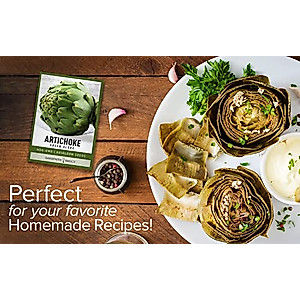 Artichoke Seeds for Planting - Green Globe Non-GMO Perennial Vegetable Variety- 3 Grams Seeds Great for Summer Gardens by Gardeners Basics