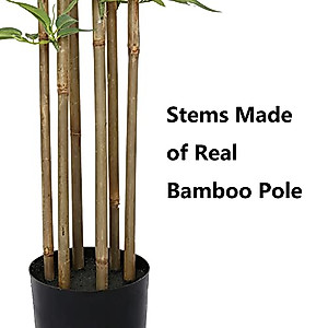 SOFTFLAME 6ft Bamboo Artificial Tree, Faux Bamboo Plant, Artificial Plant with 6 Trunks, Ideal for Home Office Indoor Decoration