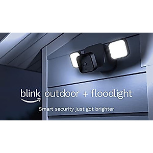 Blink Floodlight camera - Wireless smart security Outdoor camera (3rd Gen) + LED mount, two-year battery, motion detection - 2 camera system (Black)