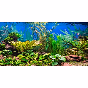 AWERT 60x24 inches Aquarium Background Aquatic Plant River Bed & Lake Fish Tank Background Vinyl