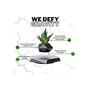BandD Floating Plant Pot - Levitating Plant Pot for Succulents, air Bonsai & air Plants. Floating Planter for Home, Office & Desk Levitating Decor. Magnetic Floating Levitating Display. (Black)