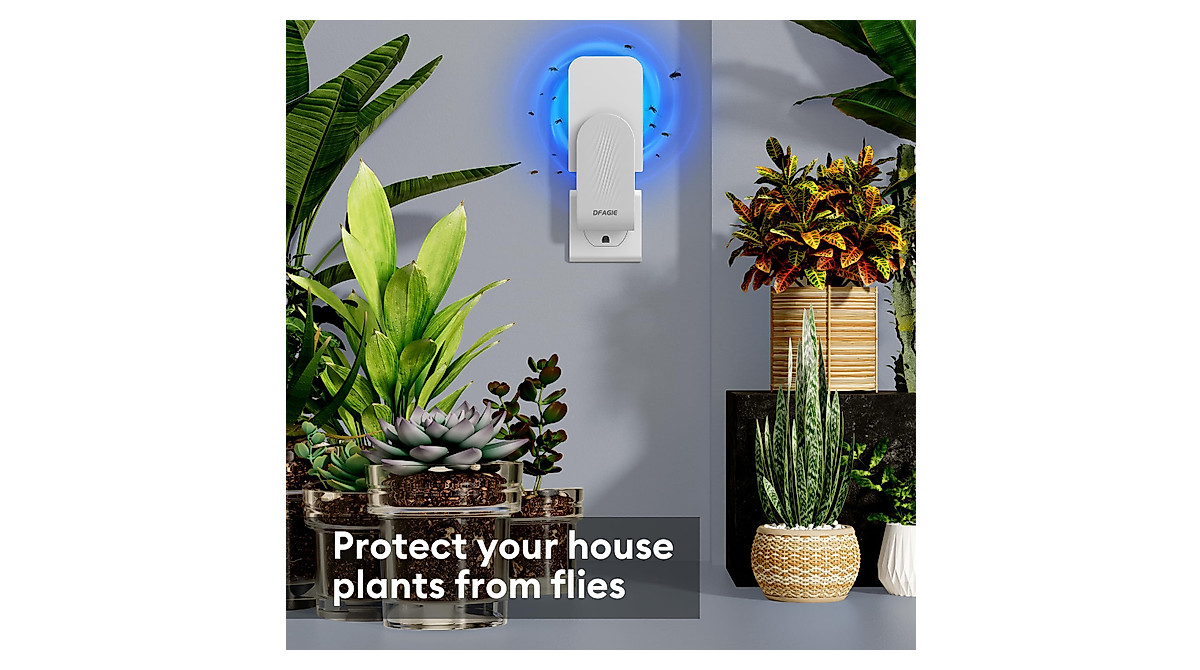 Effective 2 Pack Indoor Fly Trap - Safe & Stylish Design