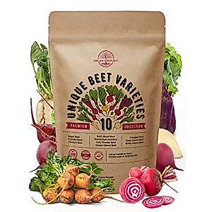10 Rare Beet Seeds Variety Pack for Planting Indoor & Outdoors 1000+ Heirloom Non-GMO Bulk Beets Gardening Seeds: Chioggia, Detroit Dark Red, Sugar, Cylindra, Golden, Bulls Blood, White Albino & More