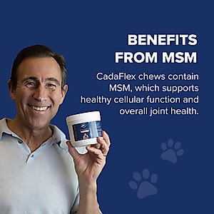 Dr. Jeff Werber Performance Flexx Joint Chews for Dogs - Soft Chew Treats with Tasty Flavor - Support Joint Function, Cartilage Development & Mobility - for Pets Over 60lbs (Large/XL)