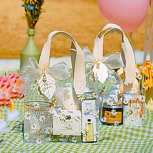 Clear Gift Wrap Bag with Handles (2pcs,9.1 X 9.8X 5.5'') Heavy Duty Plastic Waterproof Gift Packing Bag for Party, Reusable Merchandise Retail Transparent PVC Shopping Tote Bags for Package Candy