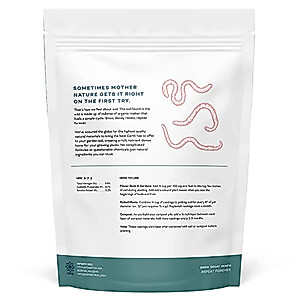 Infinity Soil - Earthworm Castings - Sustainable & Natural Soil Amendment - 0.6-0.7-0.2 NPK - Enhance Soil with Living Microbes and Micronutrients - 1 LB