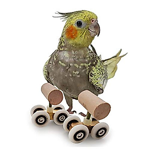 Mini Roller Skates for Parrot Double Row Toy Pet Intelligence Training Kit Supplies for Smaller Parrot