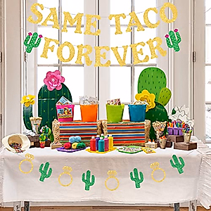 Lesbian Bachelorette Party Decorations, Same Taco Forever Banner, Cactus Diamond Ring Garland for Fiesta Gay Lesbian Wedding Supplies