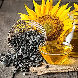 Sunflower Seeds - Black Oil Microgreen - 5 Pounds - Yellow Flower Seeds, Open Pollinated Seed Attracts Bees, Attracts Butterflies, Attracts Hummingbirds, Attracts Pollinators
