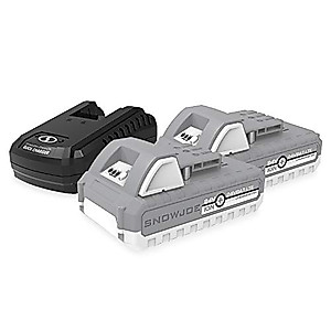 Snow Joe 24V-2AMP-SK2 Includes 2 x 2.0-Ah Lithium iON Battery + Single Port Rapid Charger, (2) 2.0, White
