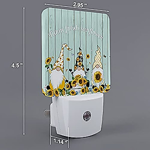 Big buy store Night Lights Auto Sensor Farm Sunflower Gnomes Plug-in LED Nightlights Dusk to Dawn for Living Room, Bedroom, Bathroom, Kitchen, Hallway, Stairways, Bee Butterfly Blue Wood Grain