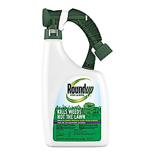 Roundup for Lawns 6 Ready-To-Spray (Southern), 32 oz.( Pack of 1 )