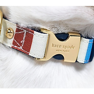 kate spade new york Cute Dog Collar with Gold Metal Details & Plastic Buckle, 15" to 22" Adjustable Dog Collar for Female or Male Dogs, Medium/Large, Adventure Stripe