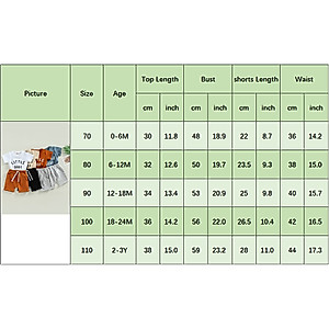Toddler Baby Boy Summer Clothes Little Dude T-Shirt Short Sleeve Tops Solid Color Short Set Infant 2Pcs Outfits (Blue, 0-6 Months)