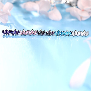 Limerencia Hypoallergenic G23 Pure Titanium Earrings | Crown Cubic Zirconia | F136 Implant Grade Piercing Studs| Suitable for Sensitive Ears Delicate Jewelry (White)