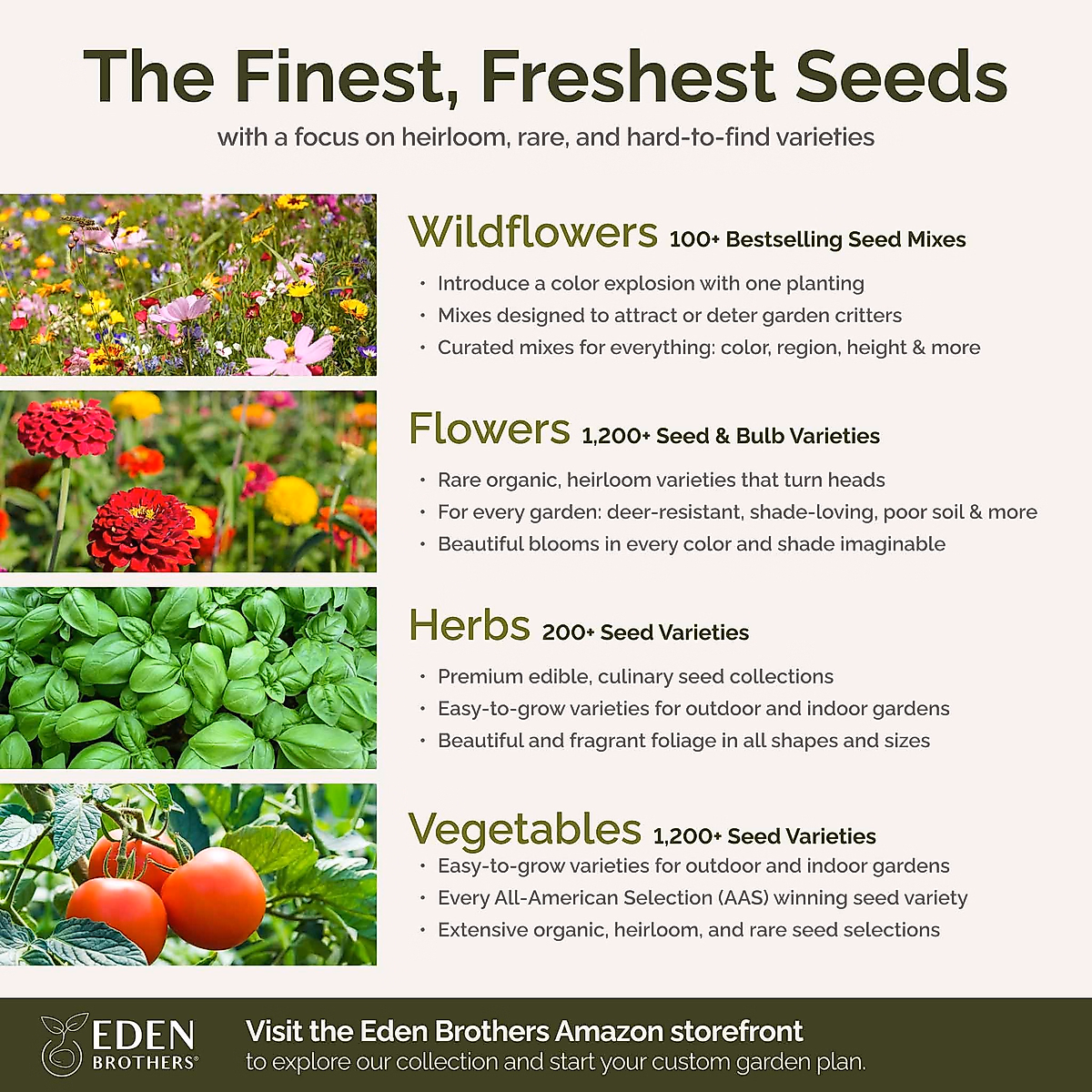 Eden Brothers Georgia Wildflower Mixed Seeds for Planting, 1/4 lb, 120,000+ Seeds with Cornflower, Cosmos, African Daisy | Attracts Pollinators, Plant in Spring or Fall, Zones 3, 4, 5, 6, 7, 8, 9, 10