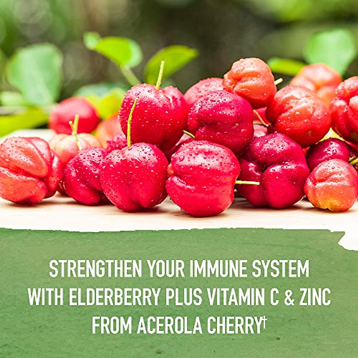 Garden of Life Elderberry Zinc Immune Support for Adults and Kids 12 & Older, mykind Organics Cough & Mucus Immune Syrup 5 fl oz with Ivy Leaf, Vitamin C and Echinacea, No Added Sugars