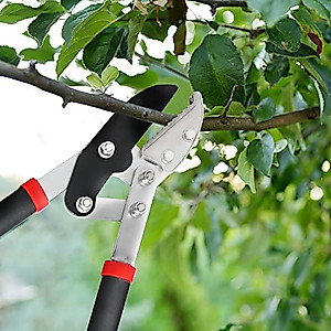 GARTOL Anvil Lopper with Compound Action 30 Inch Heavy Duty Tree Branch Cutter, 2 inch Cutting Capacity Tree Trimmer for Thick Branches Clean Cut Easy, Ergonomically Non-Slip Comfortable Handle