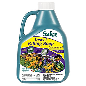 Safer Insect Killing Soap II Conc. 16 oz