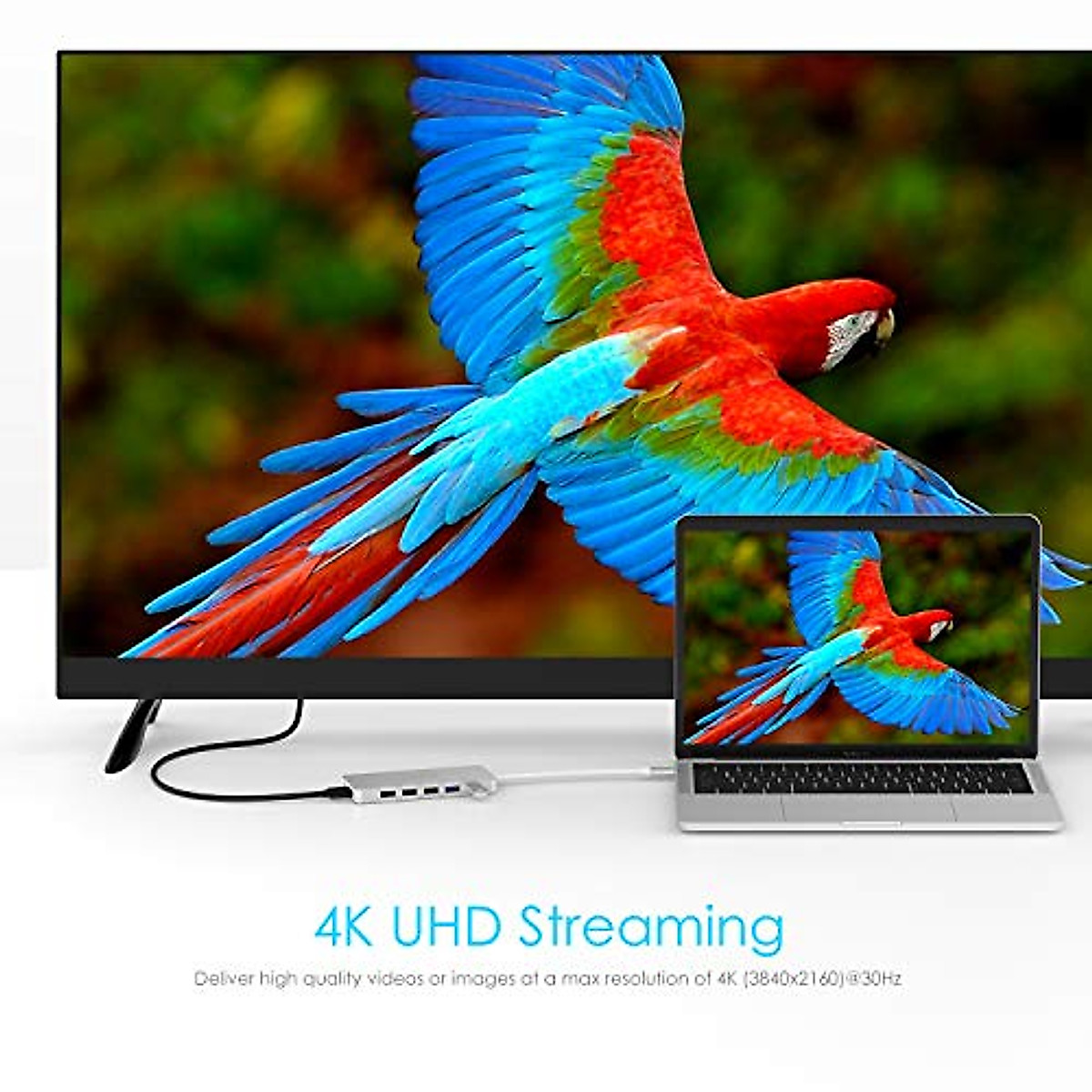 LENTION USB C Hub with 3-Slot Card Reader, 4K HDMI, USB 3.0, USB 2.0, Type C Data/Charging Compatible 2023-2016 MacBook Pro, New Mac Air/Surface, Stable Driver Certified Adapter (CB-C19, Silver)