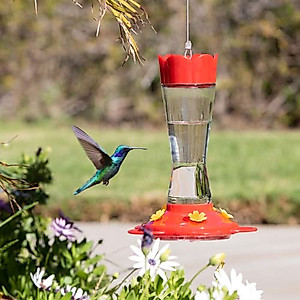 MEKKAPRO Outdoor Hummingbird Feeder Made from Glass, Humming Bird Feeders for Outdoors Hanging Ant and Bee Proof with 5 Nectar Feeding Stations, Bright Red, Backyard Feeder (10 Ounces)