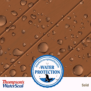 Thompson’s WaterSeal Solid Color Waterproofing Wood Stain and Sealer, Natural Cedar, 1 Gallon