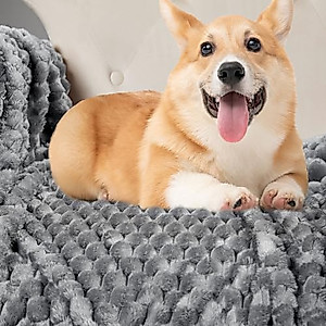 DREAMNINE Extra Large Soft Plush Fleece Bed Blanket King Size 90" x 108", Luxury Shaggy Lightweight 3D Patterned Velvet Flannel Blanket for Bedroom, Solid Gray Warm Lap Blanket for Winter Autumn, Grey