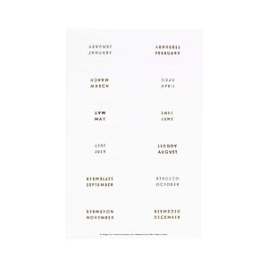 Erin Condren Metallic Monthly Tab Stickers Great for Customizing Tabbed Planners, Organizers, Agendas & Notebooks. 2 Clear Sticker Sheets with 12 Months in Metallic Foil Each (24 Monthly Tab Stickers)