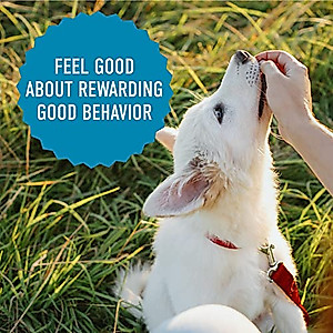 Cloud Star Tricky Trainers Soft & Chewy Dog Training Treats 14 oz Pouch, Salmon Flavor, Low Calorie Behavior Aid with 360 treats