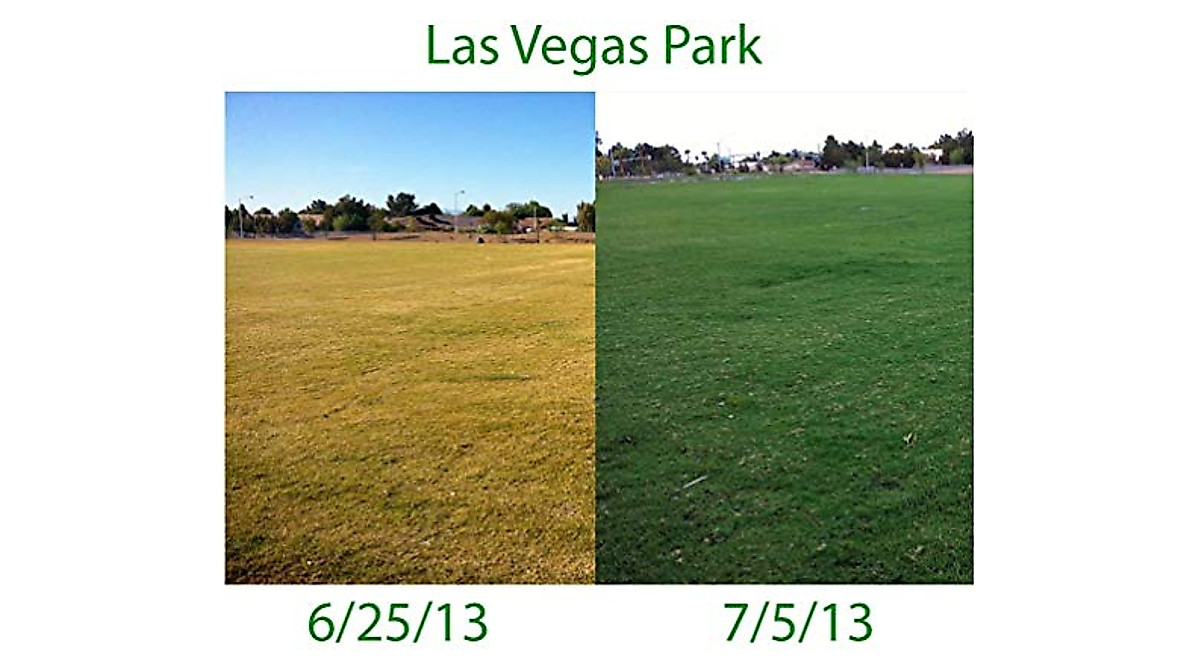 Premium Nutrient Rich Lawn Top Dressing Turf Expanding Coco Coir Mix ...