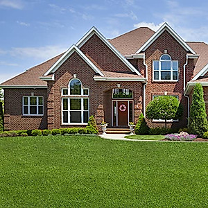 ZGR Artificial Grass Rug 4 FT x 6 FT Fake Faux Grass, Indoor Outdoor Patio Garden Lawn Landscape Synthetic Grass Mat, Realistic Turf, 4-Tone/Soft, with Drainage Holes & Rubber Backing/Many Sizes