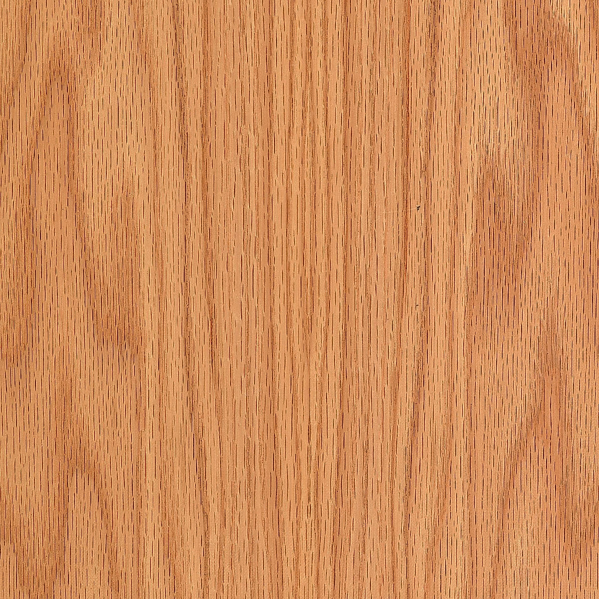 Wood-All Red Oak Wood Veneer Sheet, Plain Sliced/Flat Cut, 24x96, A Grade, 10 mil Paperback