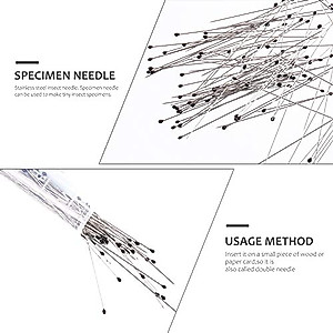 VILLCASE 300pcs Insect Pins Stainless Steel Specimen Pins Entomology Pins for Dissection Butterfly Collections Silver Size XS