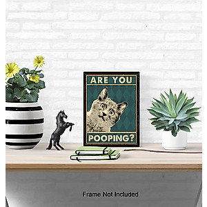Funny Cat Bathroom Decor - Bathroom Wall Decor - Guest Bathroom Wall Art Pictures for Women, Men, Kids - Modern Bath Accessories - Cute Restroom Sign - Powder Room Decorations - Butt Napkins Poster