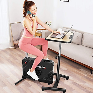HIROLLOP Indoor Cycling Bike, Standing Desk Exercise Bike with Fully Adjustable for Home, Office, Sport and Workout Cardio（exercise bike with desk）