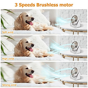 Desk Fan with Strong Airflow, 6.8 Inch Quiet Small Portable Table Fan, Brushless motor, 3 Speed Settings, 360° Adjustable Tilt Head, Rechargeable, Battery Powered Fan for Home or Office, Travel