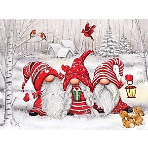 WUSARPLY Christmas Stamped Cross Stitch Kits - Gnome Counted for Beginners Adults Needlepoint Cross-Stitch Patterns Dimensions Needlecrafts Embroidery Arts and Crafts 11.8''x15.8''